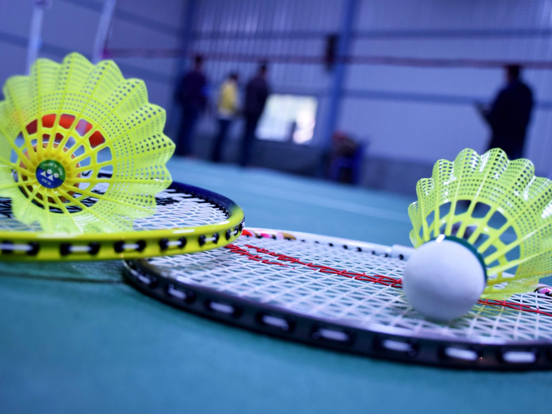 10 Best Badminton Strings for You - Playo