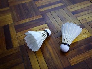 6 Best Badminton Racket Brands You Need to Know - Playo