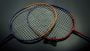 10 Best Badminton Strings for You | Playo