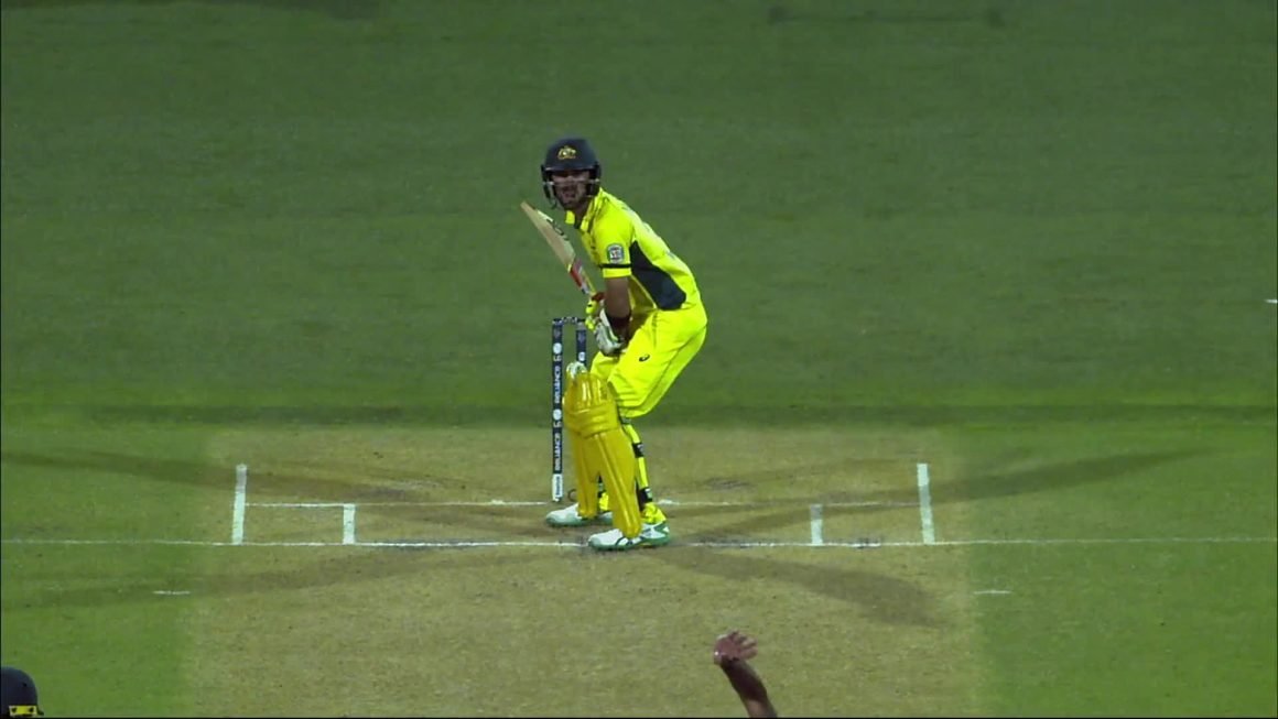 5 Cricket Shots That Every Beginner In The Squad Should Learn Playo
