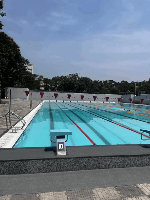 Top 10 Swimming Venues in Bangalore | Playo