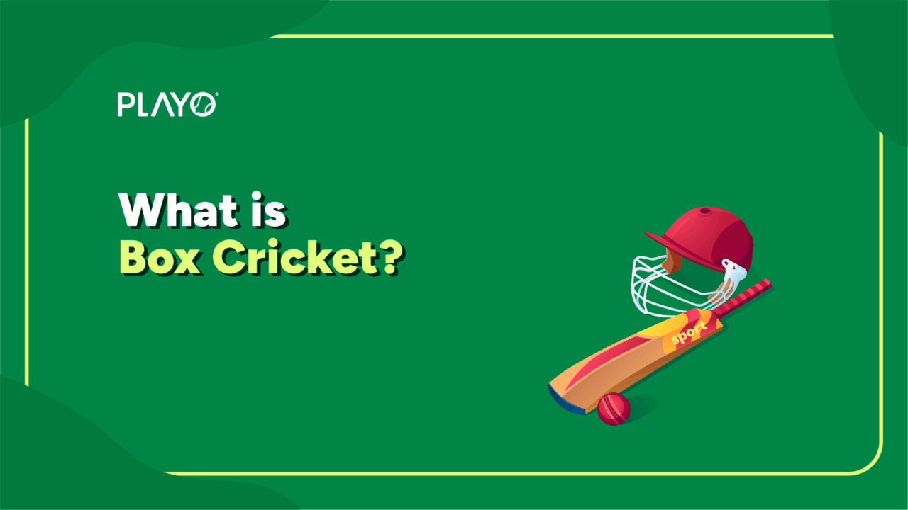 What is Box Cricket - Origin, Rules, Format, Ground Size and Gameplay