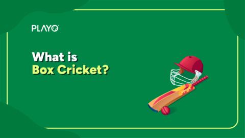 What is Box Cricket - Origin, Rules, Format, Ground Size and Gameplay
