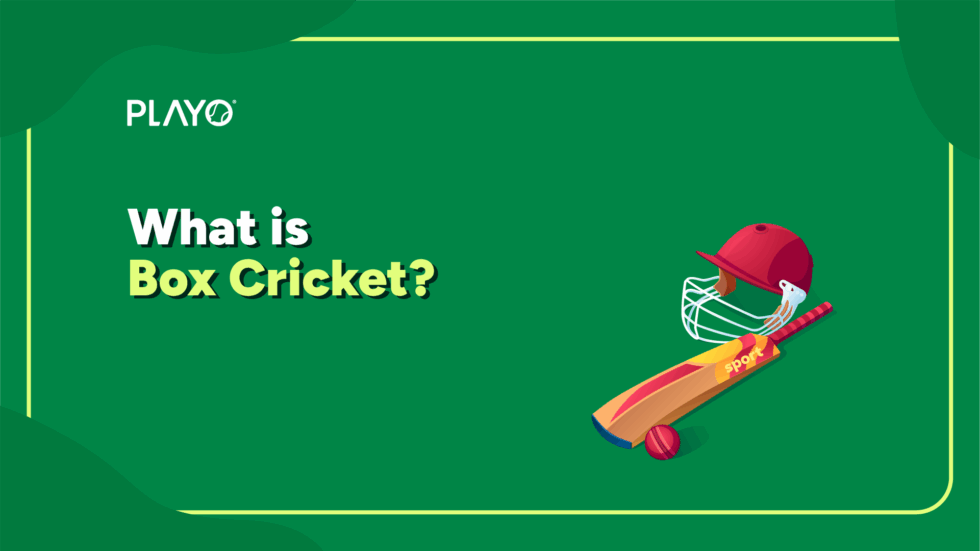 What is Box Cricket - Origin, Rules, Format, Ground Size and Gameplay